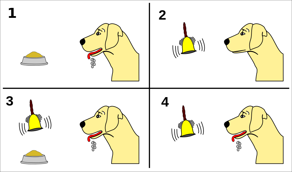 How Classical Conditioning Is An Effective and Commonly Used Training ...