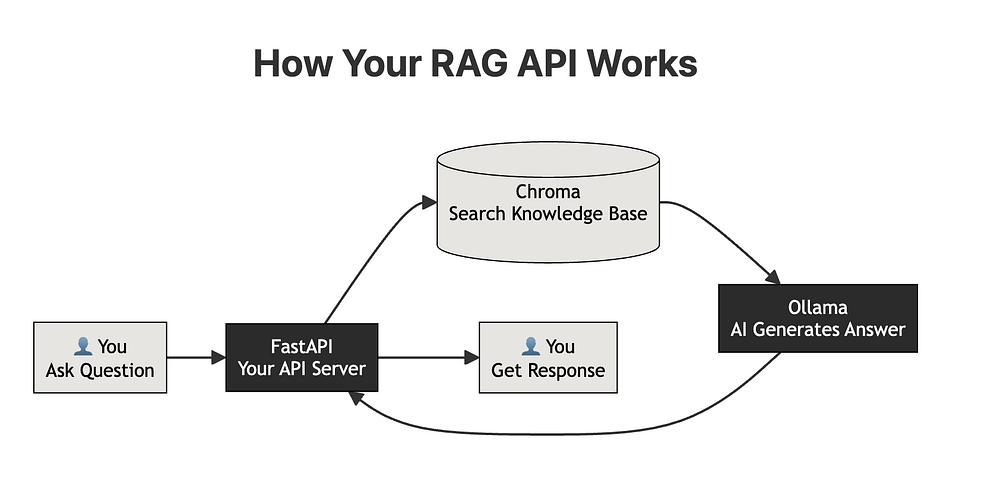 Building a RAG API with Fast API. | by Elijah Chimera | Medium