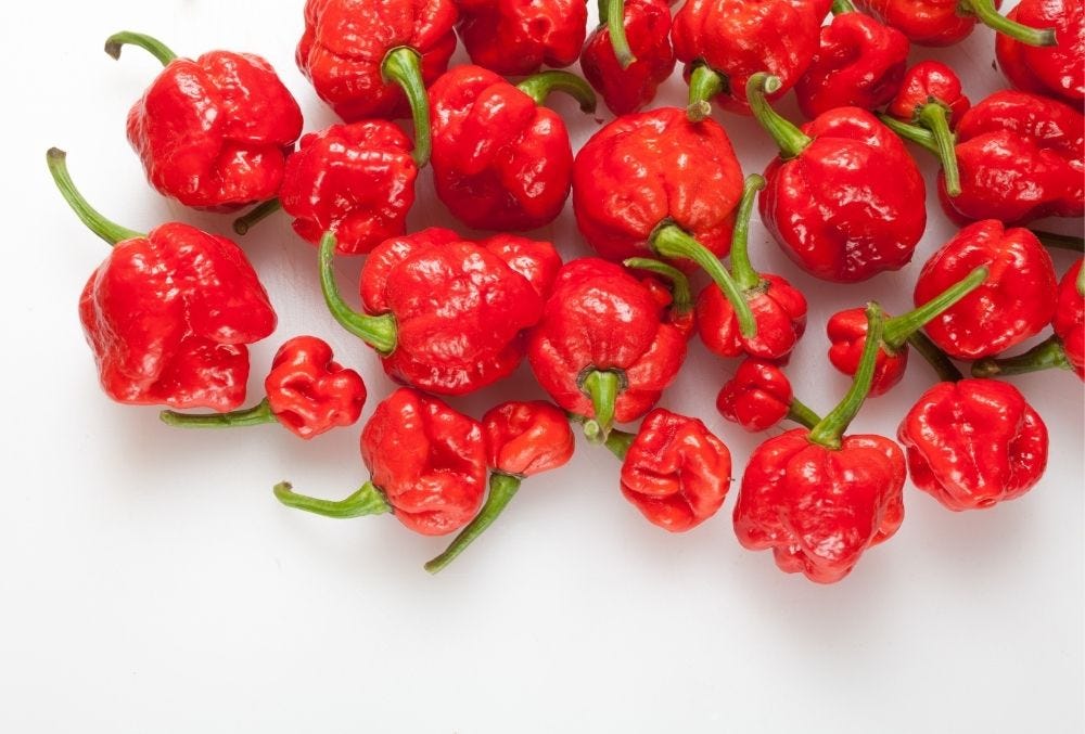 Is Life Even Worth Living If You Don’t Like Hot Peppers? | by John ...