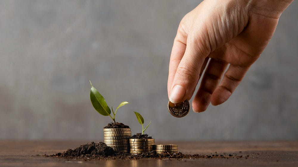 Things No One Tells You About Running A Sustainable Business | by ...
