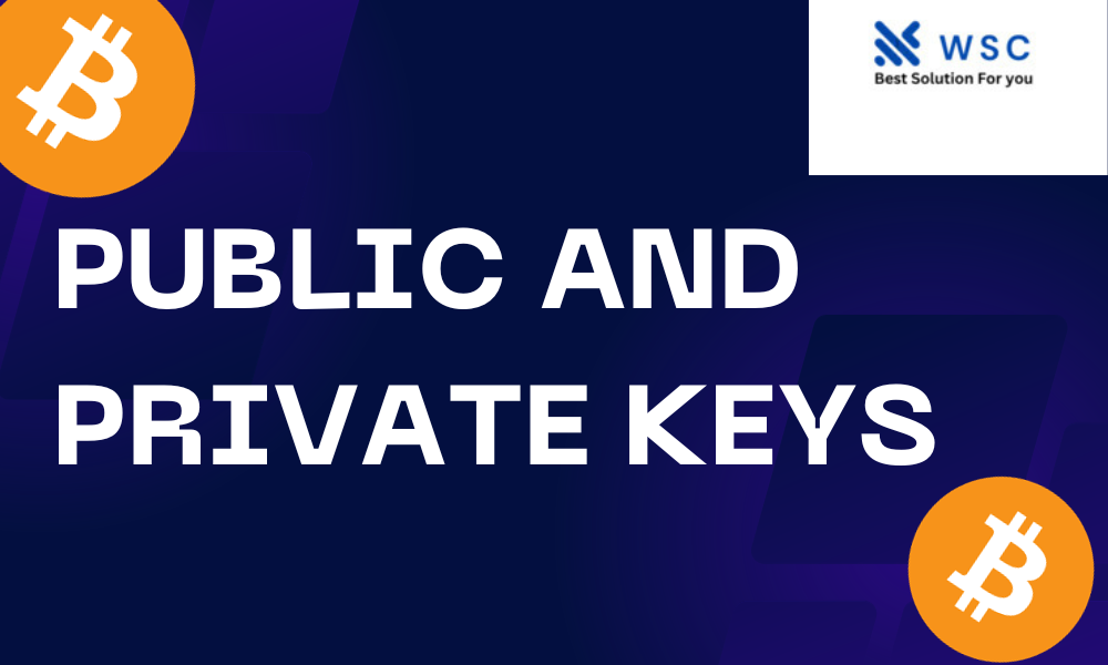 Role of Public and Private Keys in Bitcoin - Web solution code - Medium