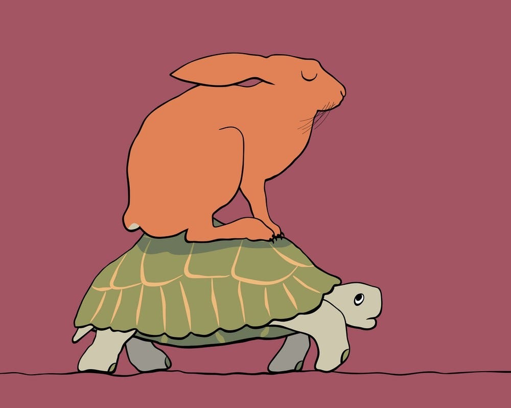 Why the Hare Can’t Escape the Tortoise | by Samriddha Chattopadhyay ...