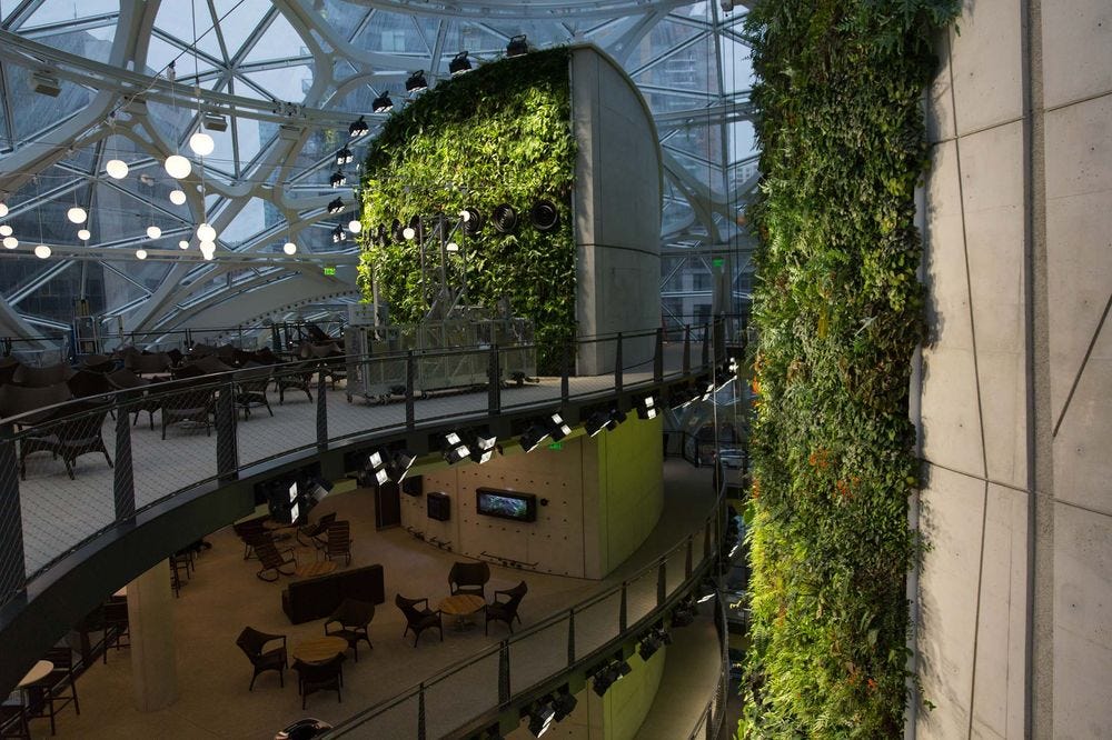 Inside Amazon’s Spheres, Where Workers Chill in a Rainforest | by ...