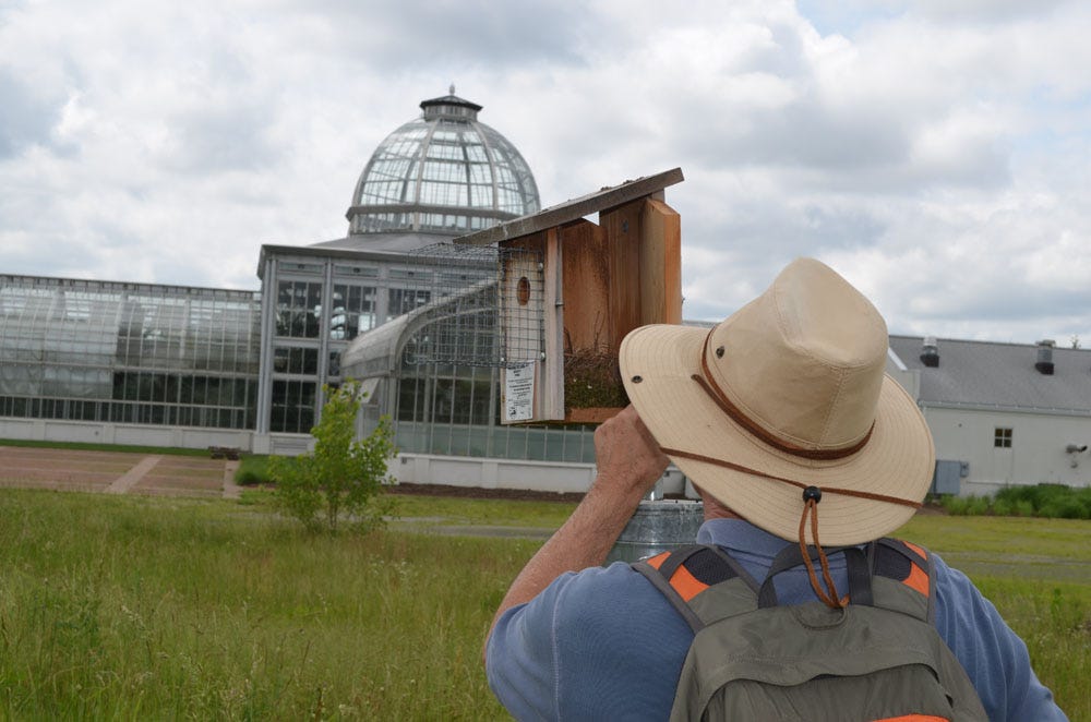 Bluebird Trail: Hidden Treasure. by Sarah Wilkinson | by Lewis Ginter ...