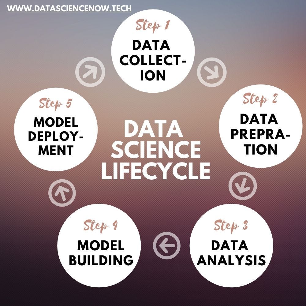 Data Science Life Cycle in 5 Steps! | by Vanshika Goel | Medium
