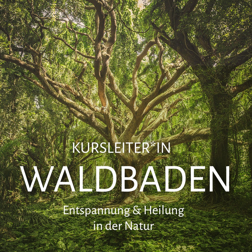 Online-Ausbildung “Waldbaden und Naturtherapie” review | by Trinhvanquanbk | May, 2024 | Medium