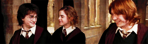 Hermione Granger Gif Raise Hand