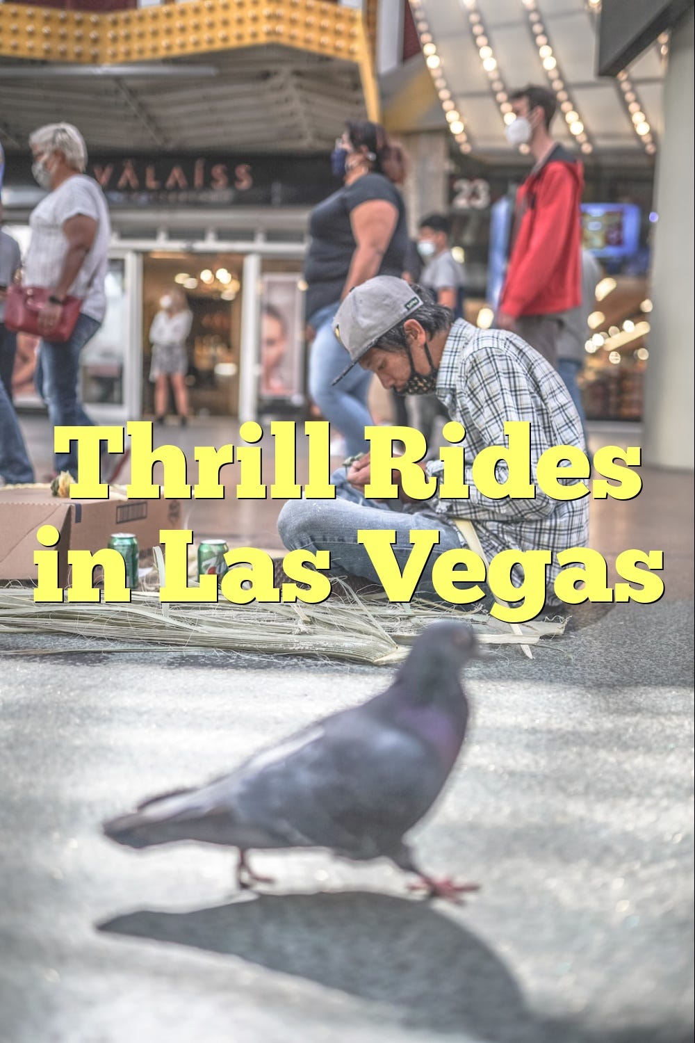 Thrill Rides in Las Vegas | by Myeasyhotel | Medium