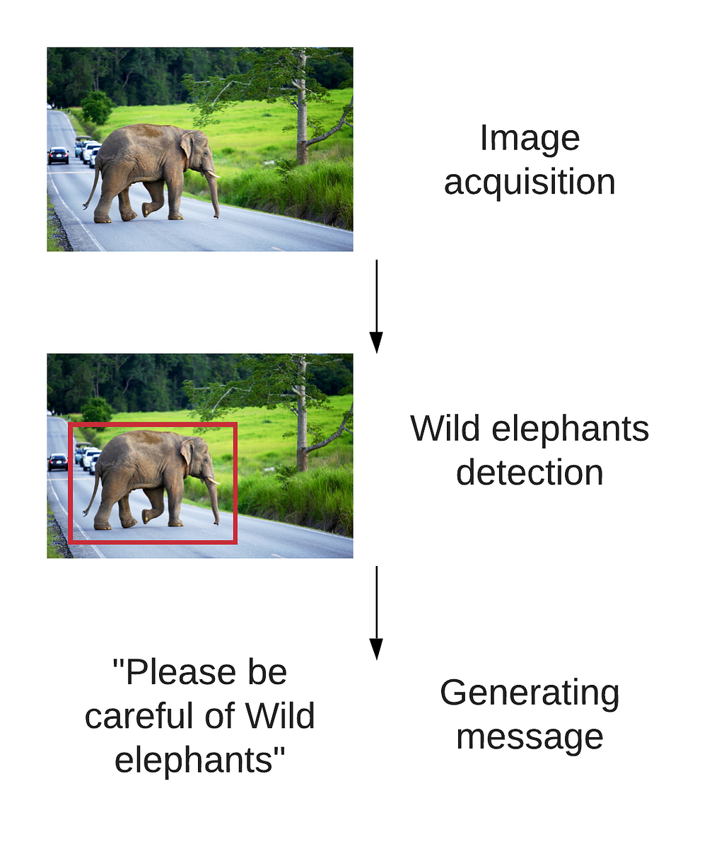 Wild Elephant Detection and Warning Systems | by Pitisit | Medium
