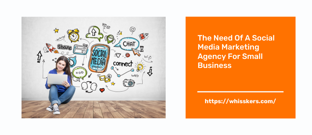 Social Media Marketing Agency for Small Business: Boost Your Brand ...
