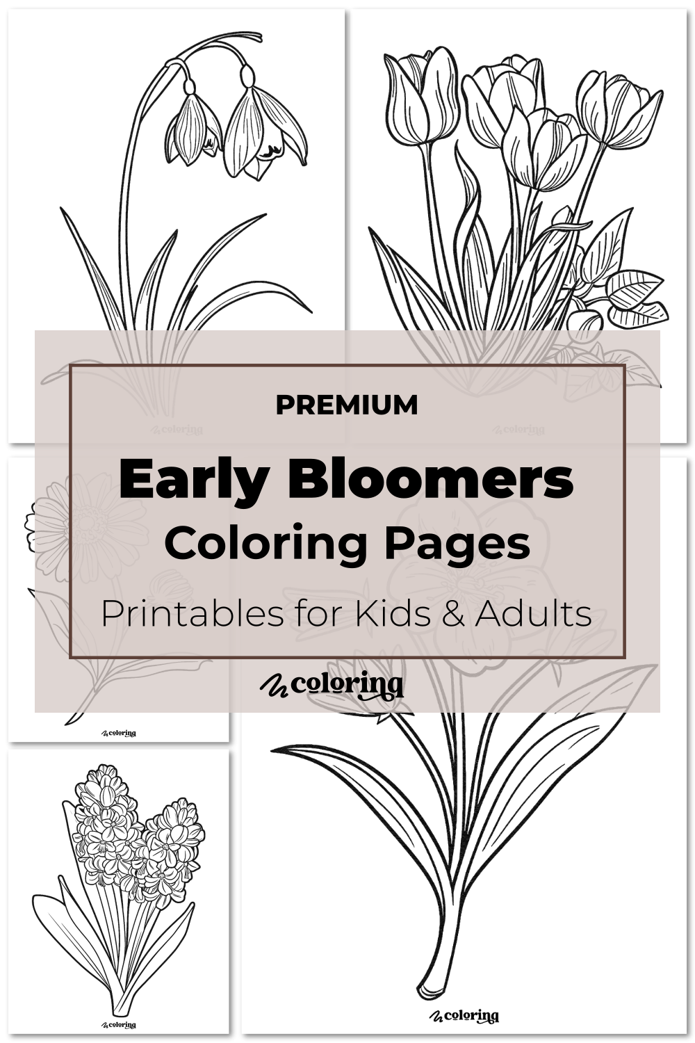 Early Bloomers Coloring Pages: 21+ Premium Printables for Kids & Adults ...