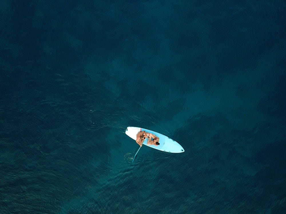 Sup, Surf, Skate. Skateboarding ist ein… | by Boardaholic | Medium