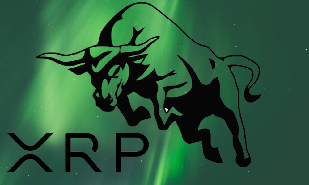 Whale Accumulation Paints Bullish Picture For XRP | by Gorjan Spirovski ...