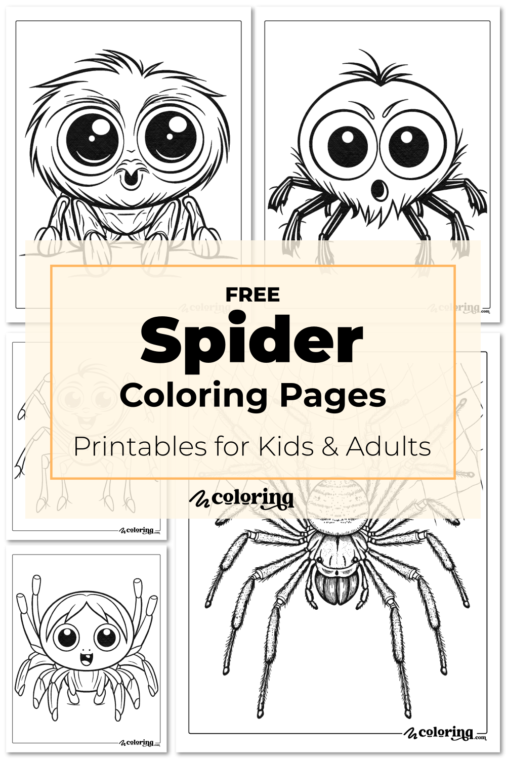 Spider Coloring Pages: 12+ Free Printables for Kids & Adults | by ...