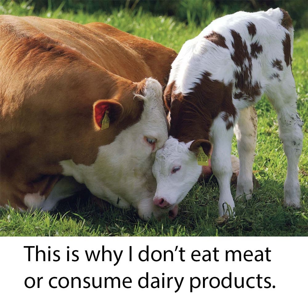 The Moral Dilemma of Eating Meat: Is It Really Necessary? - Factory ...