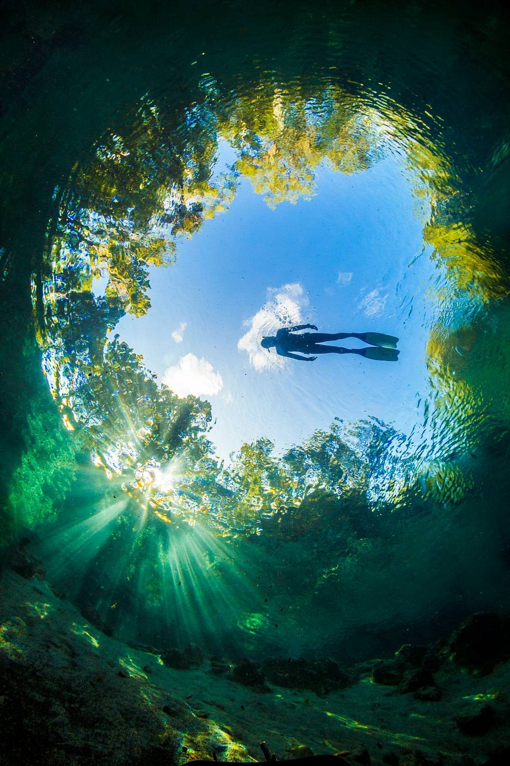 British Underwater Photographer of the Year Grant Thomas’ Equipment ...
