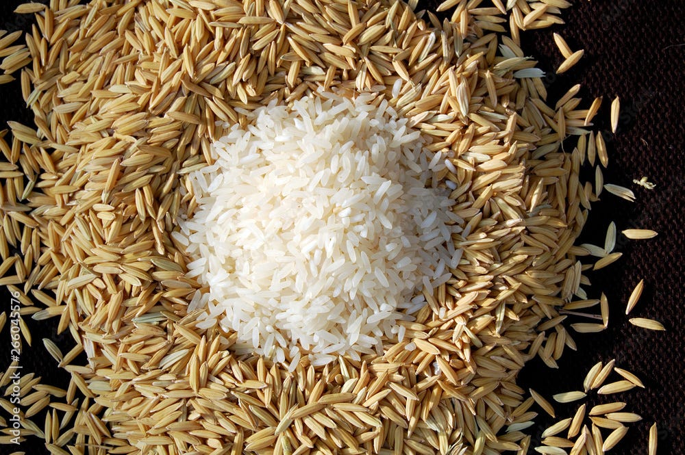 Use This API To Get Rough Rice In 2023 | by TheStartupFounder.com | Medium