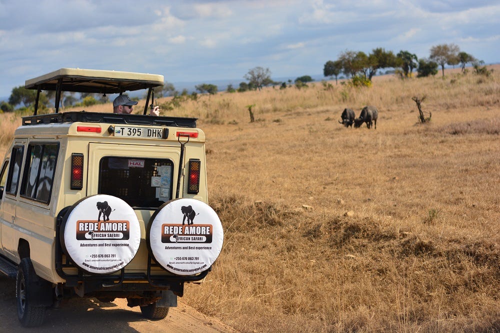 Top 10 best tour operators in Tanzania and Africa | by Rede Tours and ...