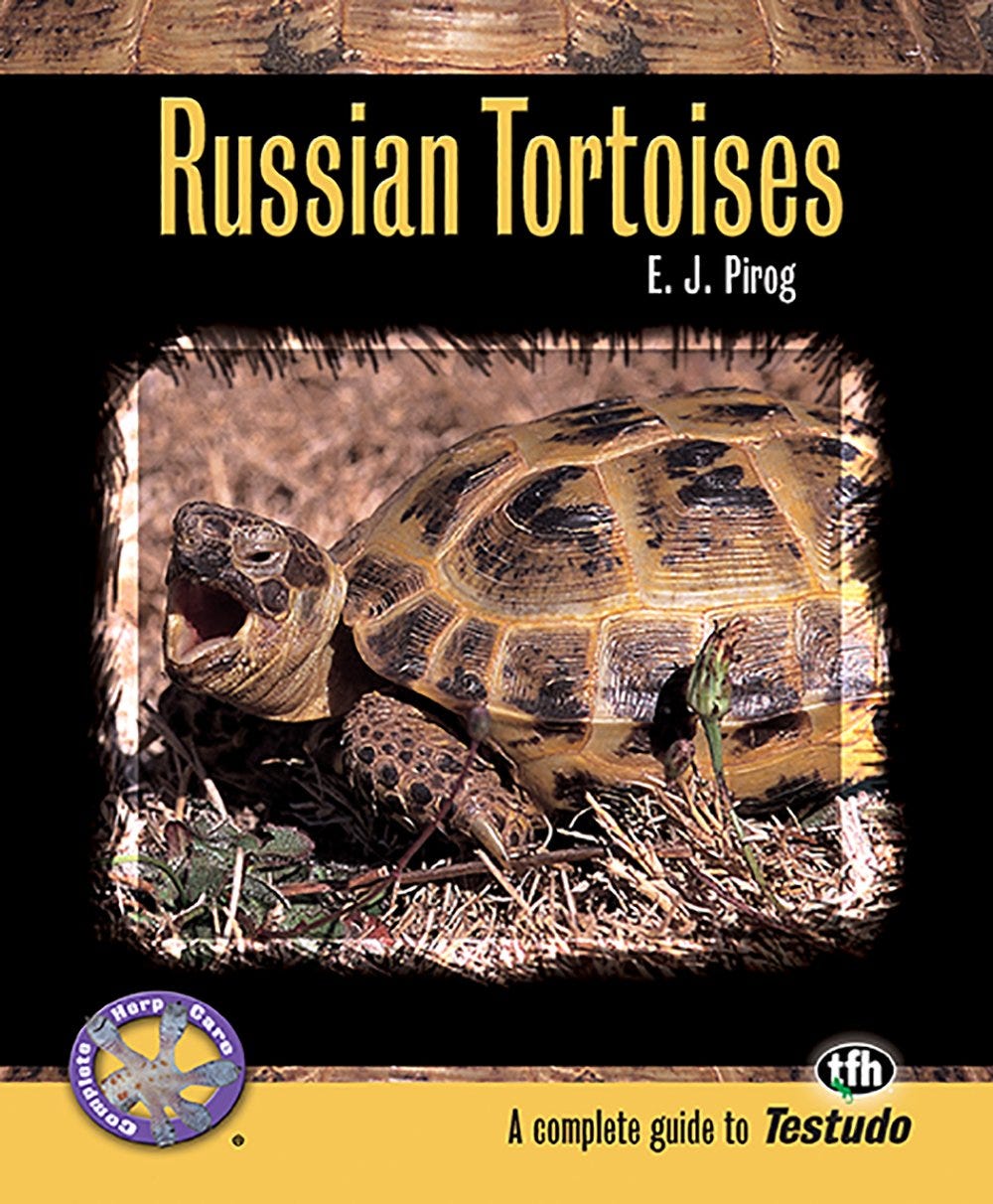 Russian Tortoises: A Comical Review | by James Glover | Medium