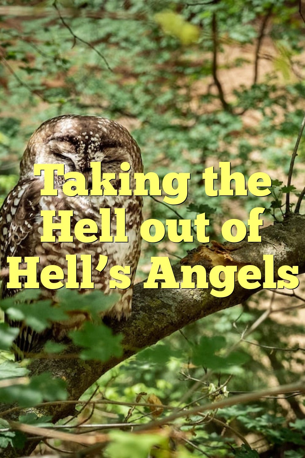 Taking the Hell out of Hell’s Angels | by Anxietyhospital | Medium
