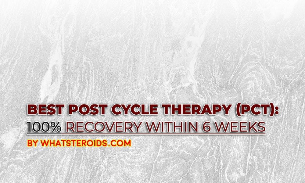 Best Post Cycle Therapy: 100% Recovery Within 6 Weeks ...