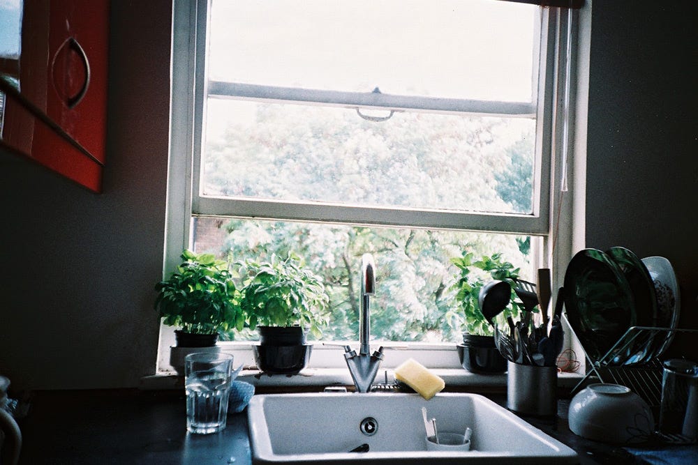 How to turn your kitchen into a garden of Eden | by Urbanful | Medium