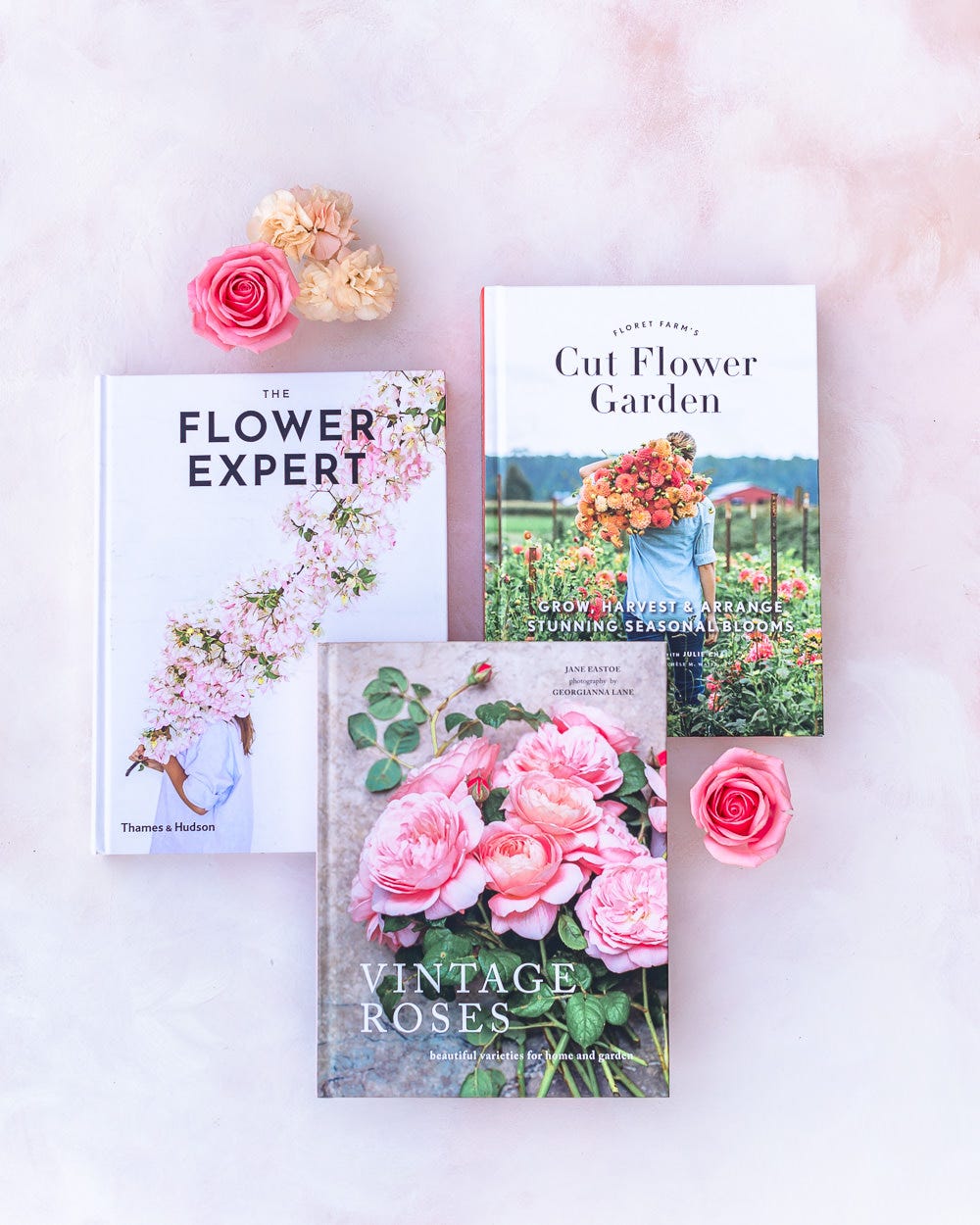 10 Best Flower Books Every Flora Lover Must Read | by BloomsFlora | Medium
