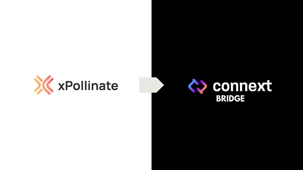 xPollinate ist jetzt Connext Bridge | by Nataliya Mars | Medium