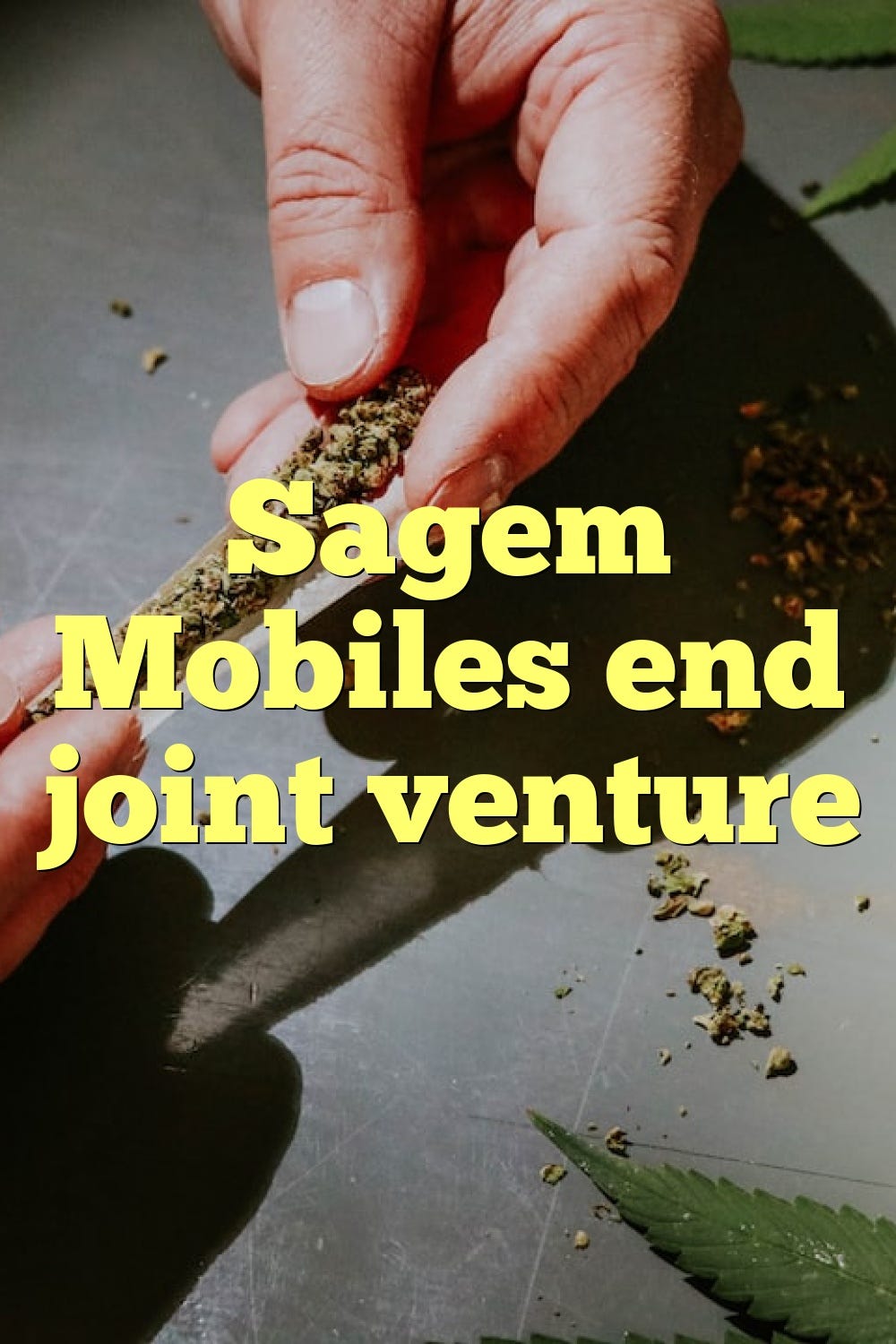 Sagem Mobiles end joint venture | by Birdsquestions | Medium