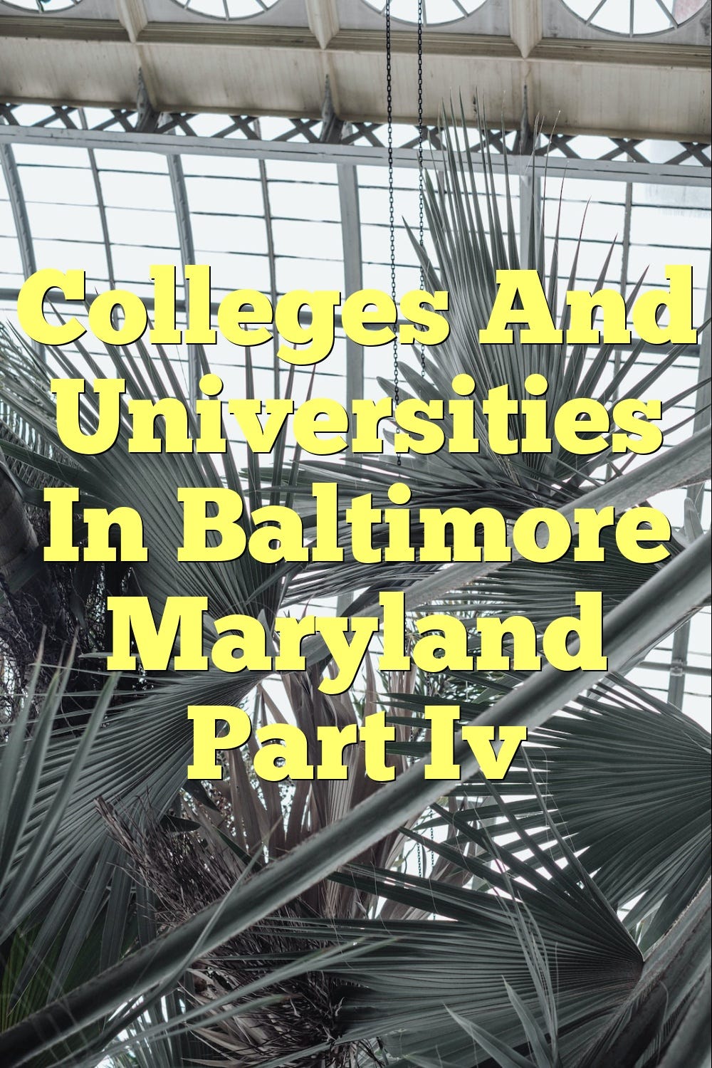 Colleges And Universities In Baltimore Maryland Part Iv | by ...
