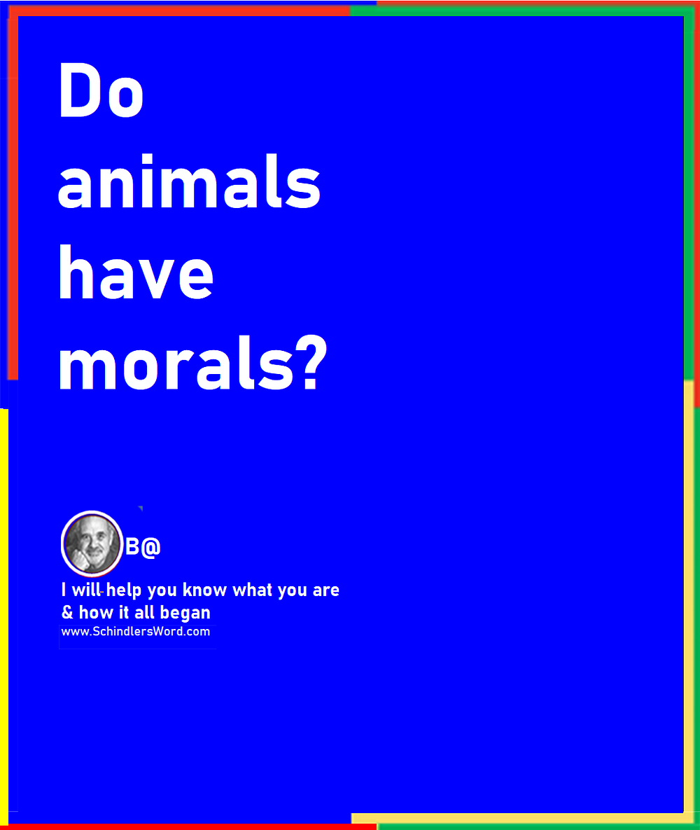 Do animals have morals?. When “Do animals have morals?” is… | by Beat ...
