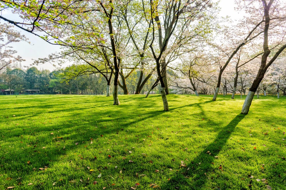 LAVAL, VILLE ACCUEILLANTE. Laval est une ville accueillante et un… | by ...