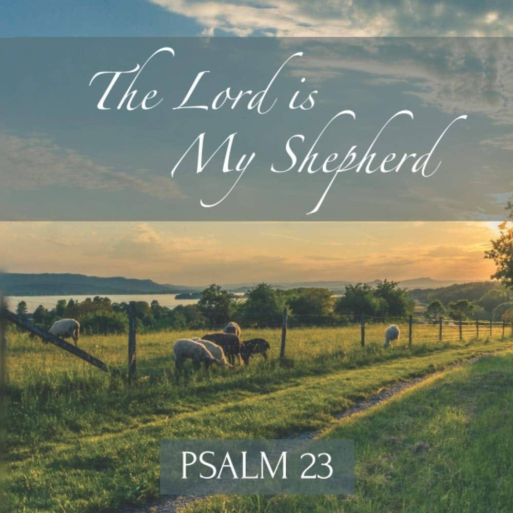 The Shepherd’s Promise. Psalm 23 | by Sajin John | Aug, 2023 | Medium