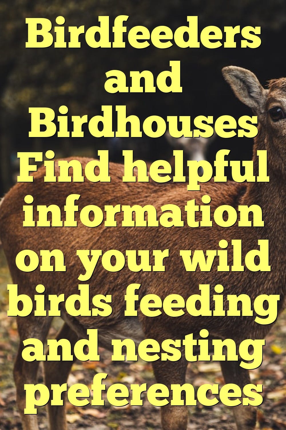 Birdfeeders and Birdhouses Find helpful information on your wild birds ...