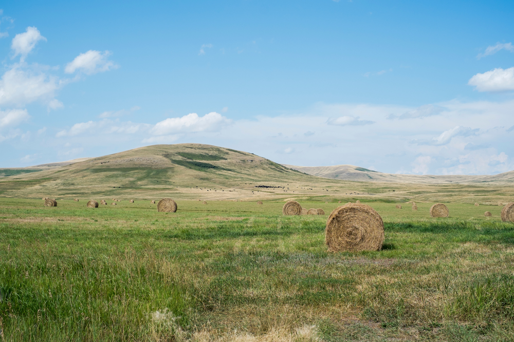 haystack.one: The backstory. Every idea has a backstory and it’s… | by ...