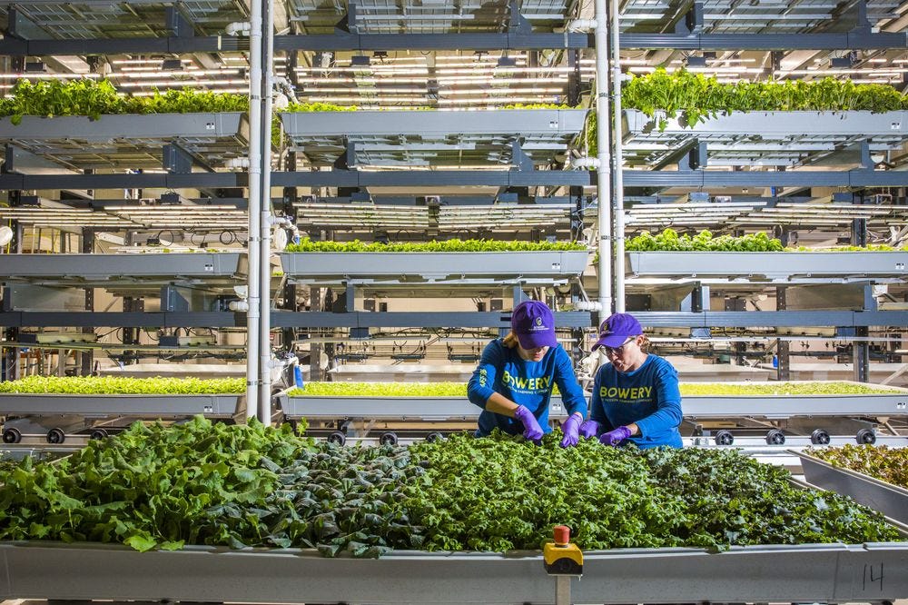 Silicon Valley: The new breadbasket of America? | by Jordan Kanis | SVB ...