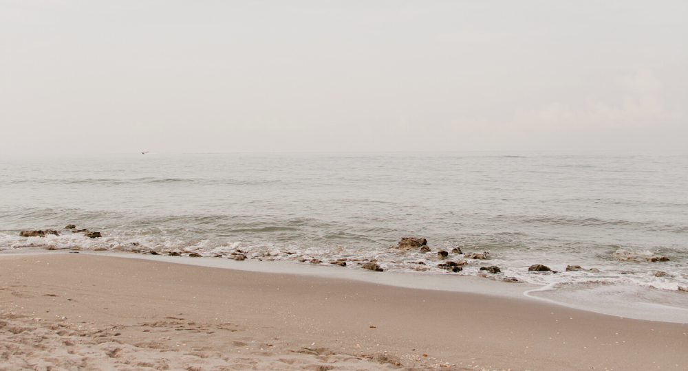 Ebbs and Flows: Embracing Life’s Natural Rhythm | by Albie Guerriero ...