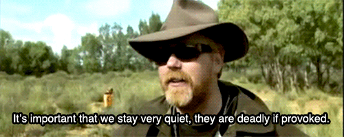 Mythbusters Gif