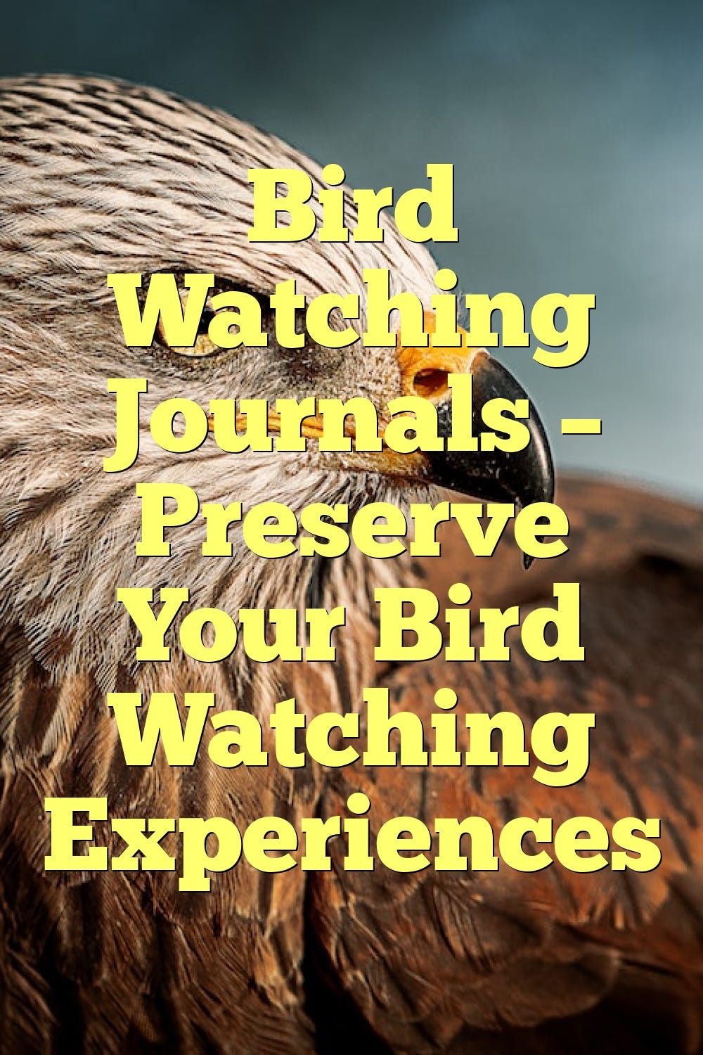 Bird Watching Journals — Preserve Your Bird Watching Experiences | by ...