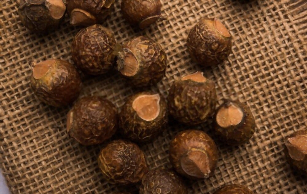 Shikakai Powder for Hair. Shikakai is one of those plant-based… | by ...