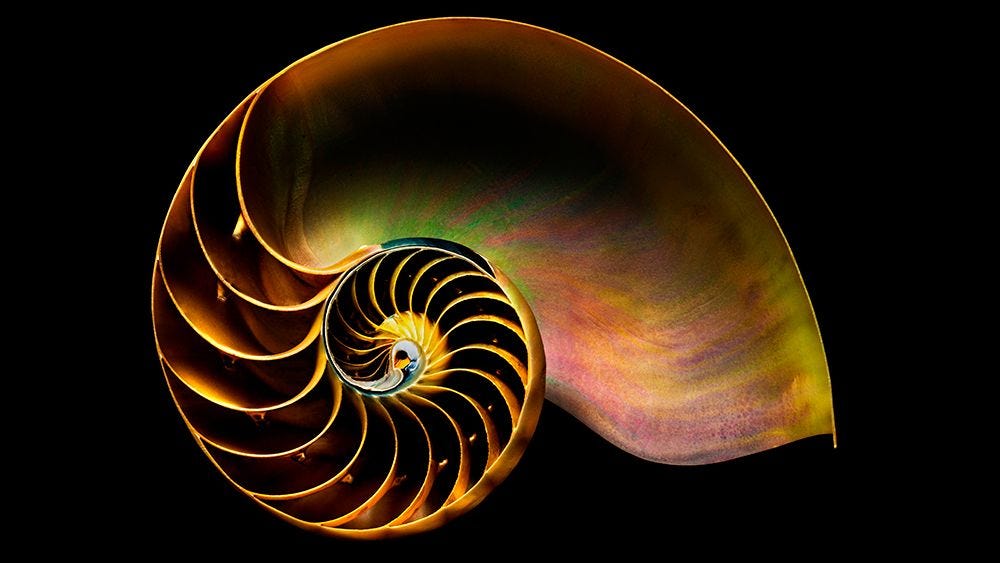 What Does Living in the Golden Middle Mean? | by Aman | Medium
