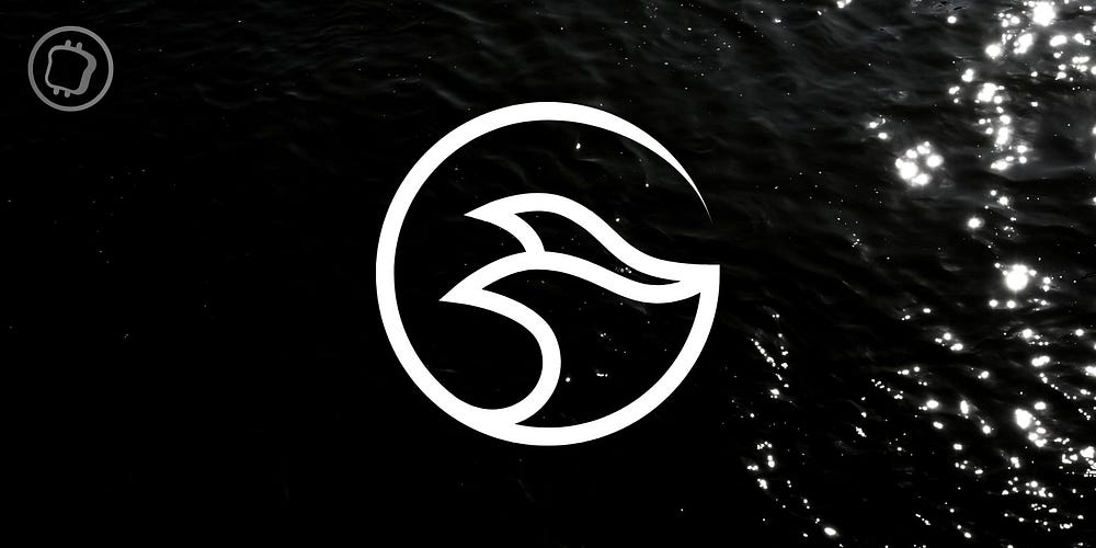Earn MANTA Rewards: Manta Network’s Airdrop Guide | by Diarmuid Hughes ...