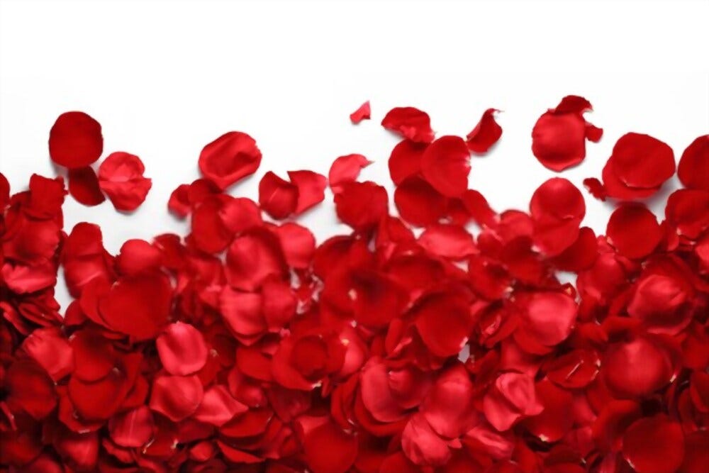 Rose Petal Powder for skin refresh your skin naturally | by ...