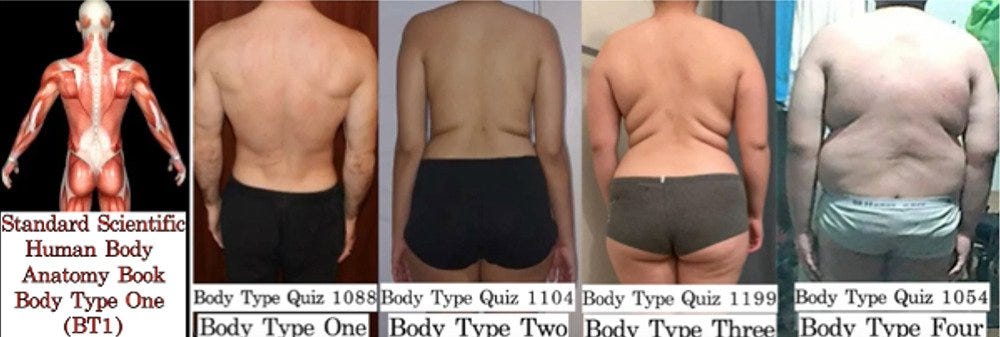 Body Type Science Theory FAQ. FAQ #1 — What is Body Type Science (The ...