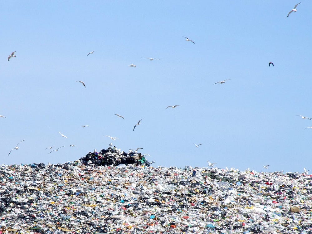 Modeling the carbon cycle of the municipal solid waste management ...