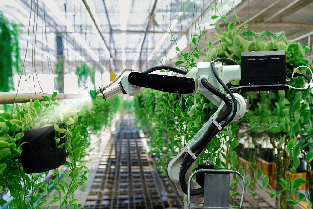 Tilling the Future: The Rise of the Agricultural Robots Market | by ...