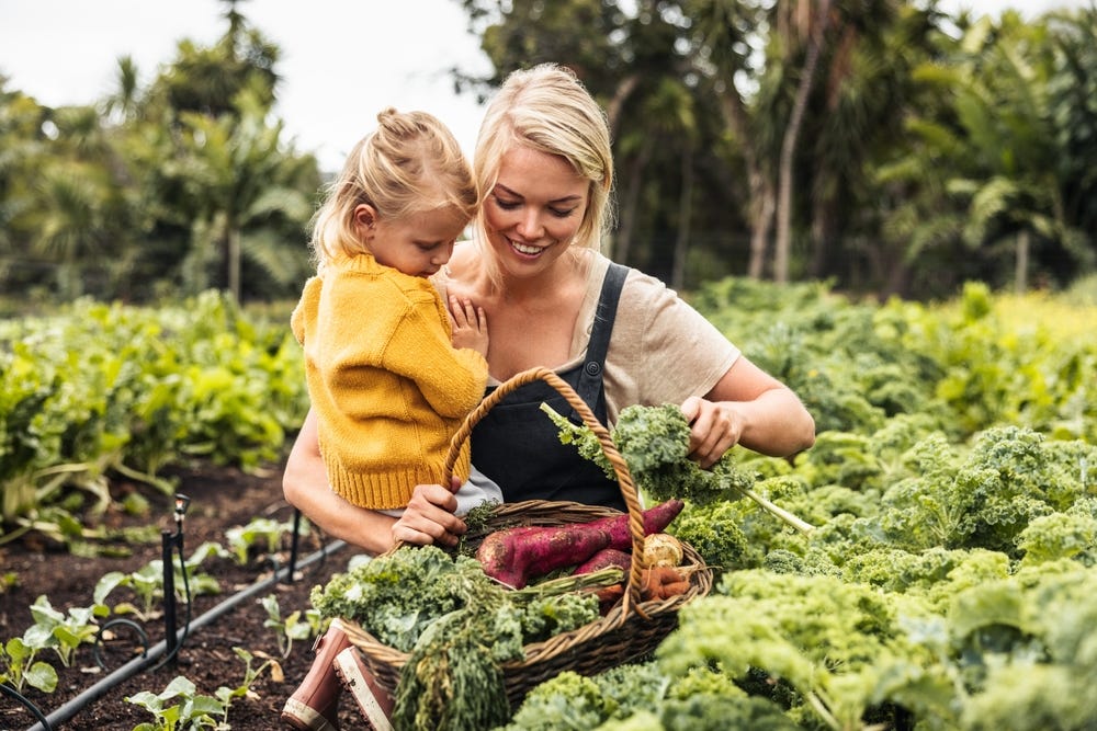 Grow your own food. 1. An image of a person planting seeds in a garden ...
