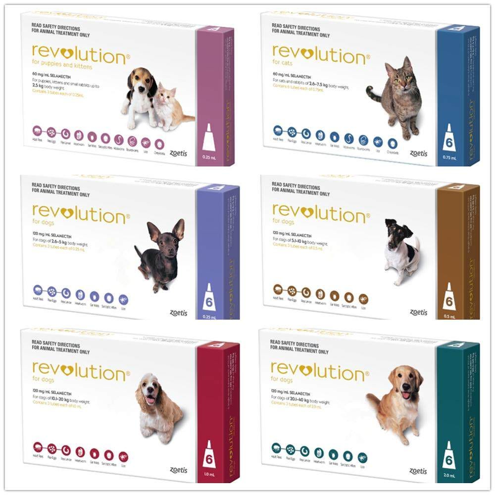 Revolution: Redefining Pet Health and Happiness! | by PETBUCK | Medium