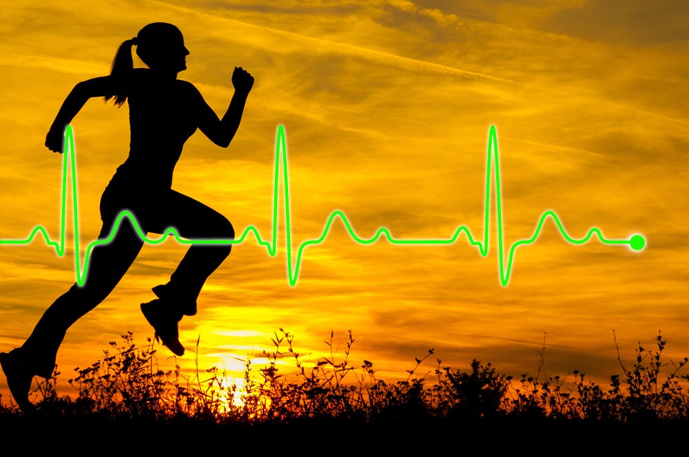 Hacking Optimum Health & Fitness with these 4 Easy to Measure ...