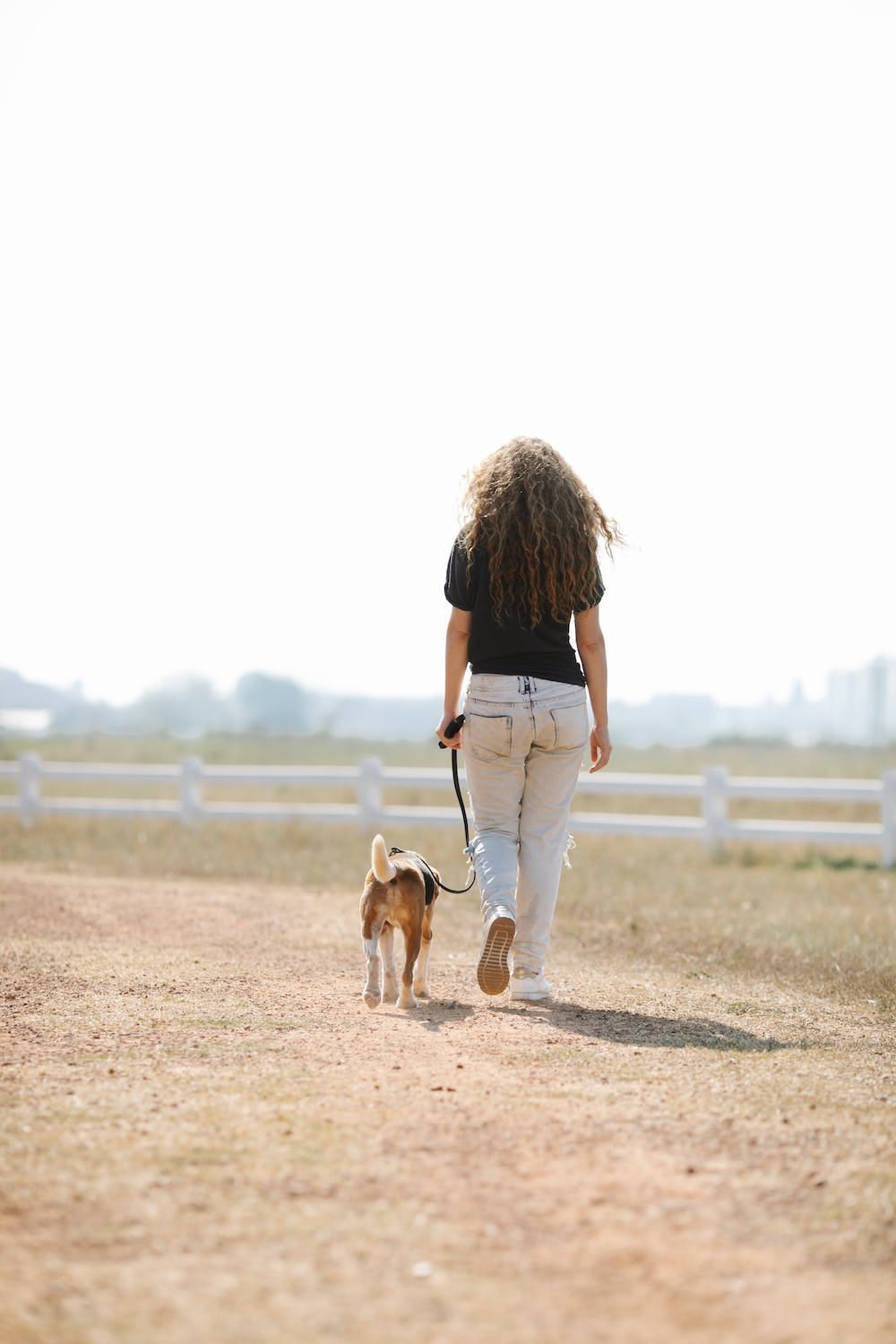 The Ability of Walking: Why It's a Simple but Able Way to Get Fit | by ...